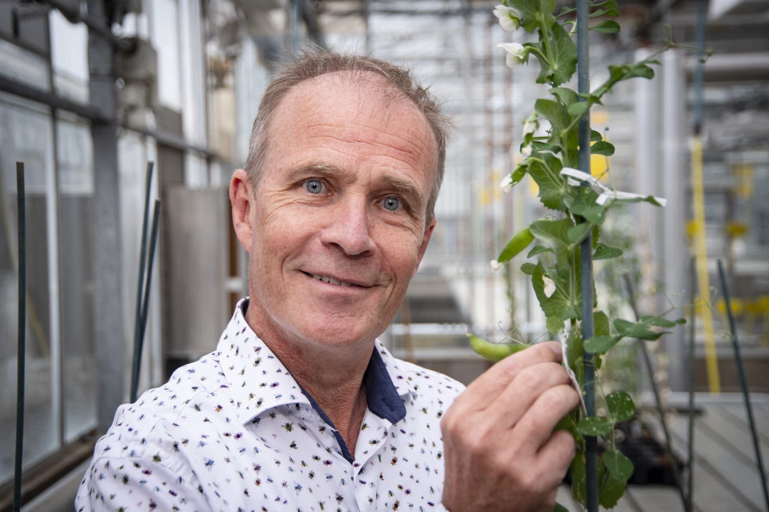 About - UK Legume Research Community